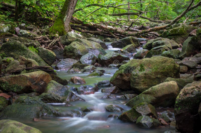 Woodline River stock image. Image of calm, water, trees - 77146909