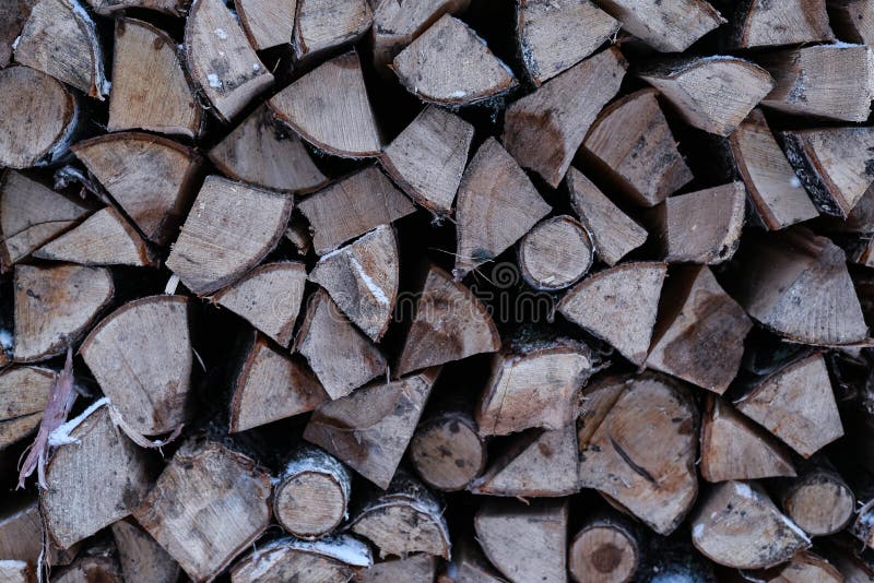 Firewood stock image. Image of tree, floor, rock, geology - 238457465