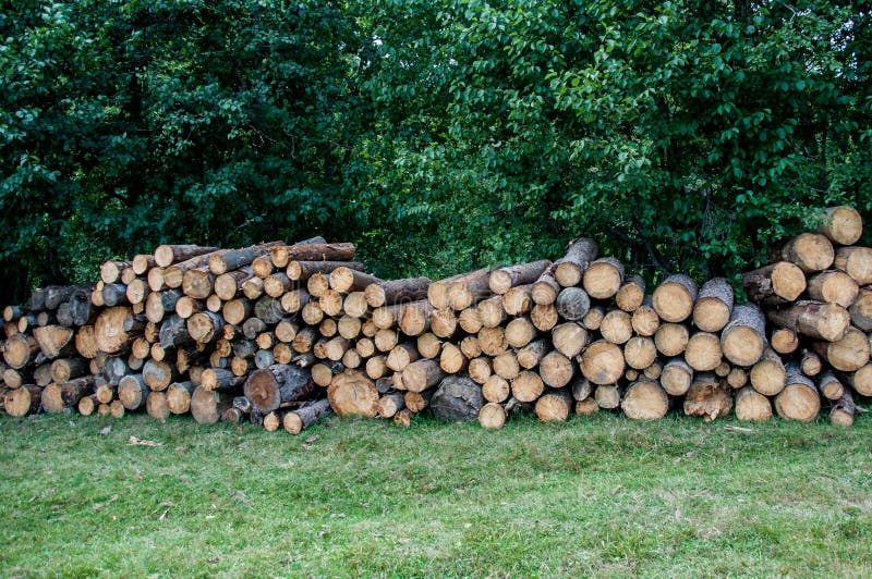 Woodpile on meadow stock image. Image of detail, pattern - 80285793