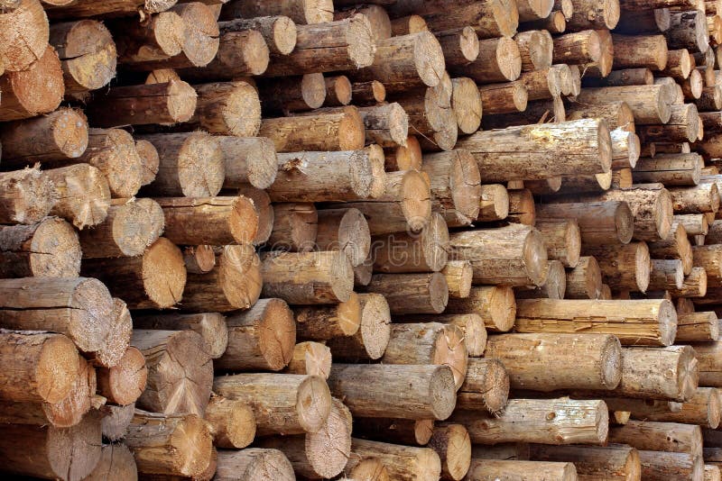 Woodpile of Stacked Wood Logs Stock Photo - Image of processing, bark ...