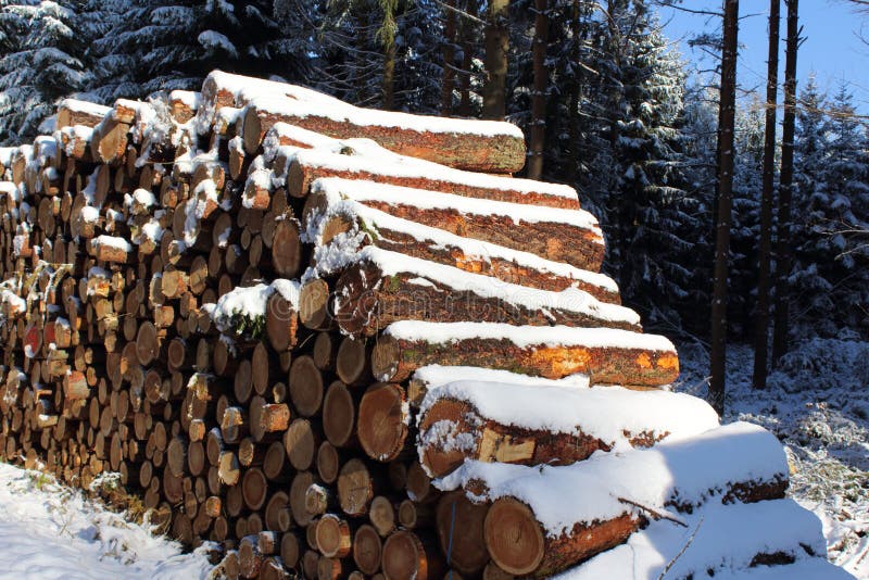 Woodpile in the Winter Forest with Snow Stock Image - Image of rural ...