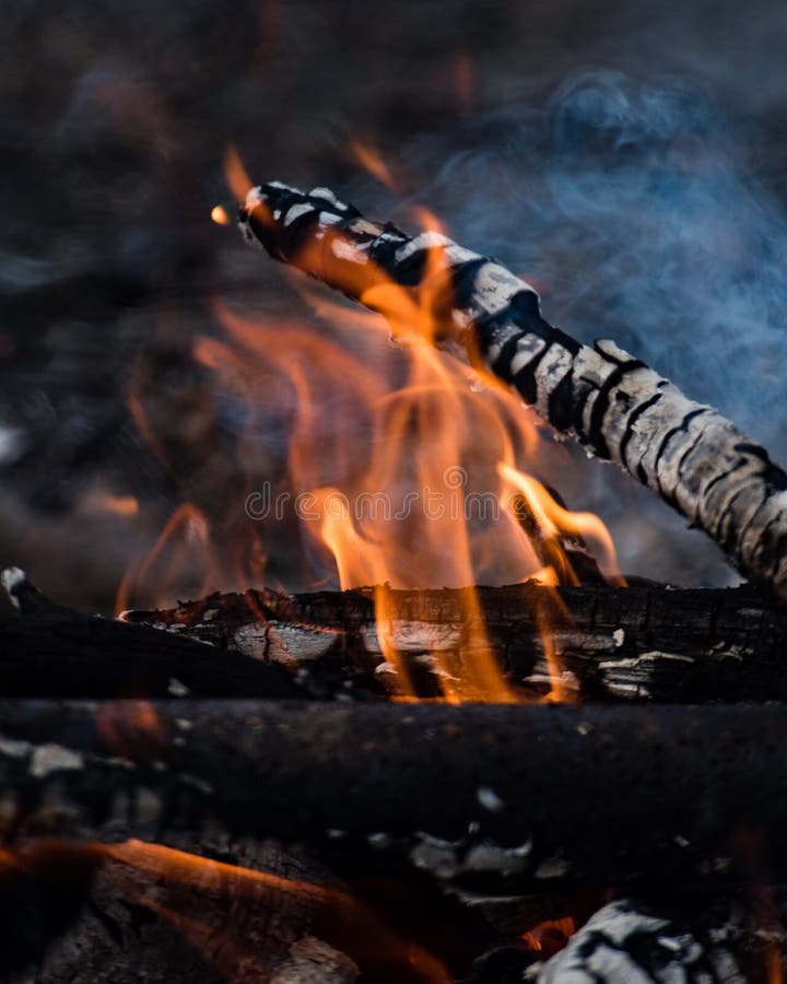 Woods are Burning in Fireplace, Warm, Heat, Fire Stock Image - Image of ...