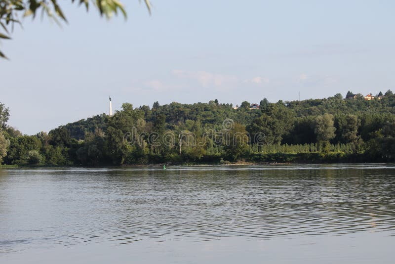 Wood in the forest stock photo. Image of nature, bright - 94093720