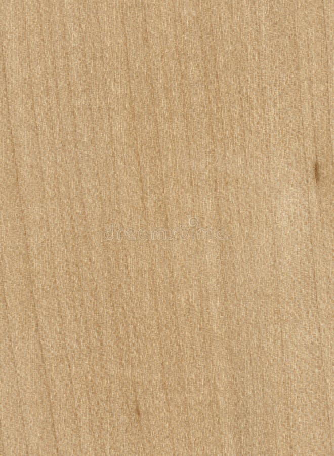 Wood Tree Exotic Pattern Asia Samples Natural Stock Photo - Image of ...