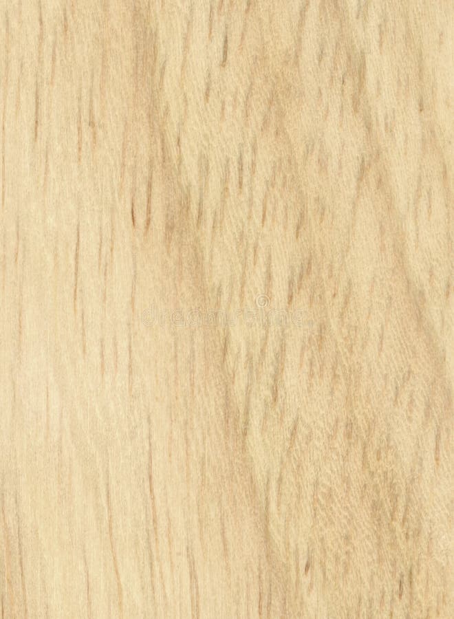 Wood Tree Exotic Pattern Asia Samples Natural Stock Image - Image of ...