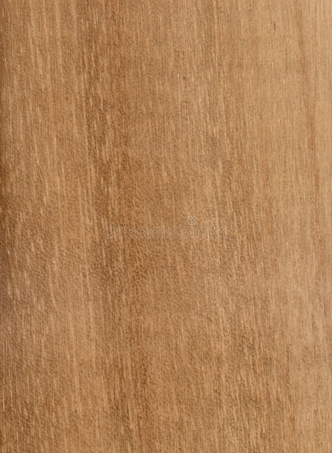 Wood Tree Exotic Pattern Asia Samples Natural Stock Photo - Image of ...