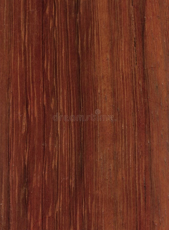 Padouk Exotic Wood Background Stock Image - Image of padouk, background ...