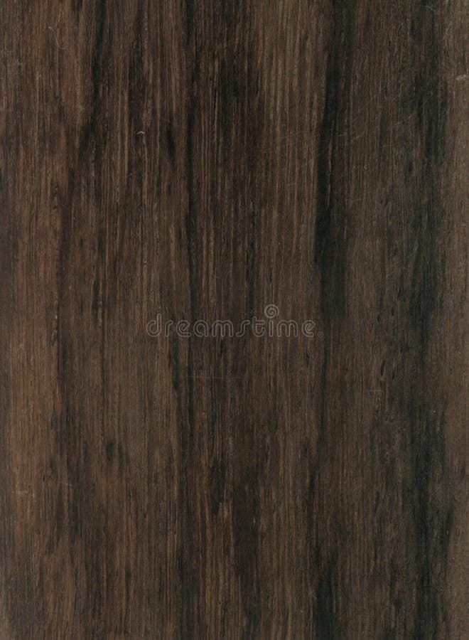 Wood Tree Exotic Pattern Asia Samples Natural Stock Photo - Image of ...