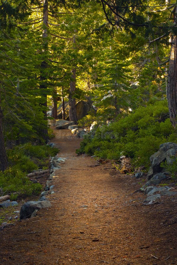 Woods Path stock photo. Image of outdoors, lake, green - 19619930