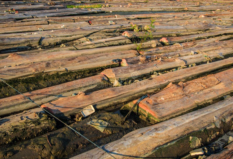 Woods in the water stock image. Image of lumber, industrial - 57924441