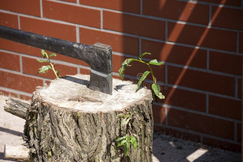 Woodshed stock photo. Image of still, life, wood, slasher - 14664794