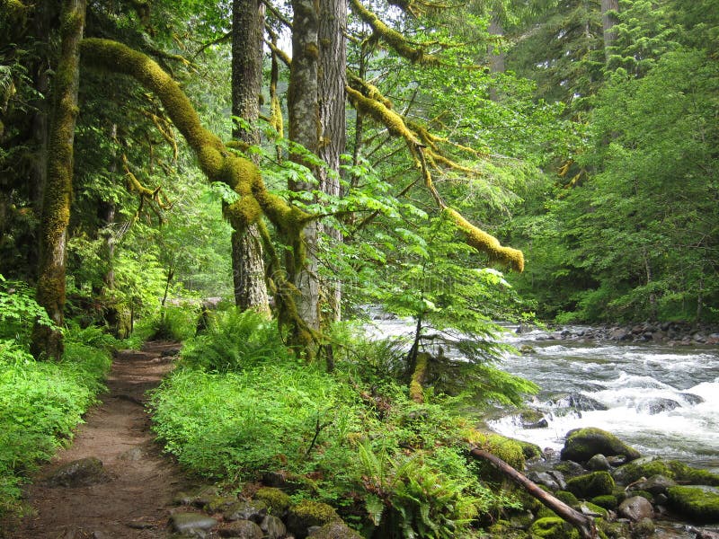 Solitude stock image. Image of west, hike, outdoors, walk - 5106661