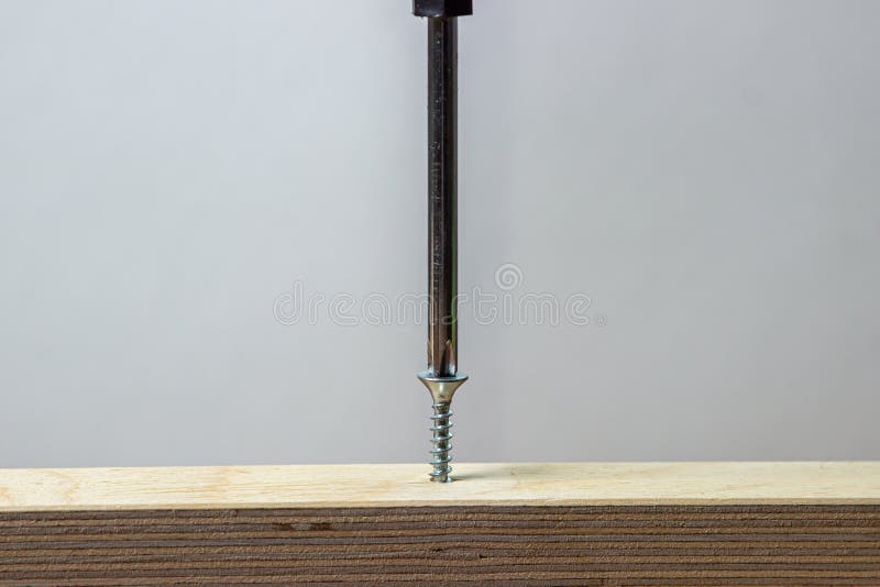 Woodwork. a Screwdriver Screws a Self-tapping into a Tree Stock Photo ...