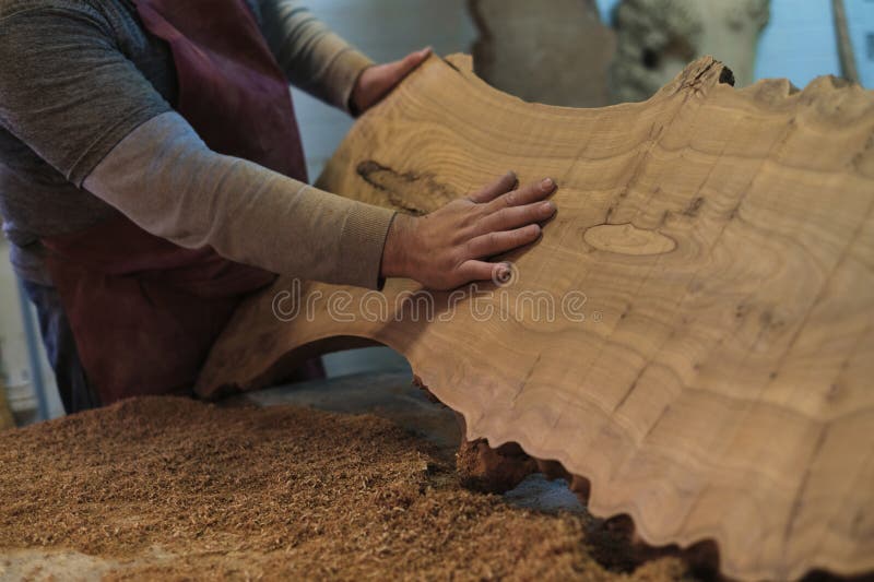 The Woodworker Examines the Grain Patterns of a Beautiful Burl Slab ...
