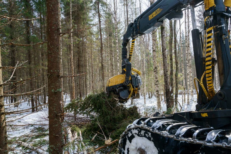 Forest machines stock image. Image of bulldozer, hydraulic - 26009487