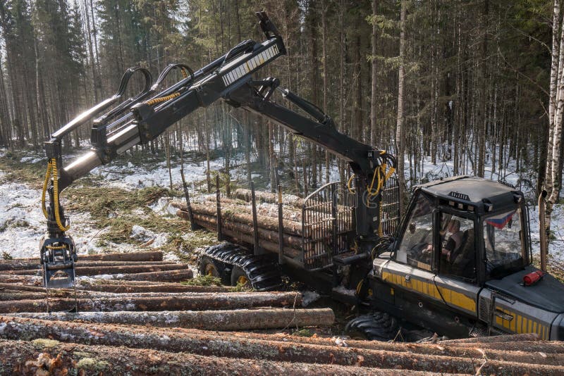 Woodworking. Logger Loads Harvested Trunks Editorial Stock Photo ...