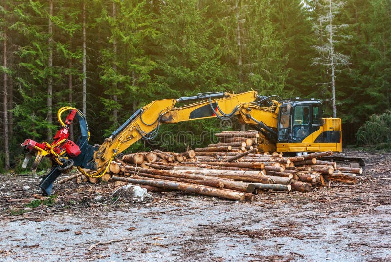 Woodworking Machine Tractor Harvester in the Forest. Primary Wood ...