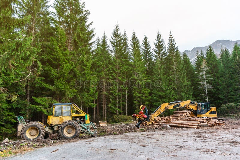Woodworking Machine Tractor Harvester in the Forest. Primary Wood ...
