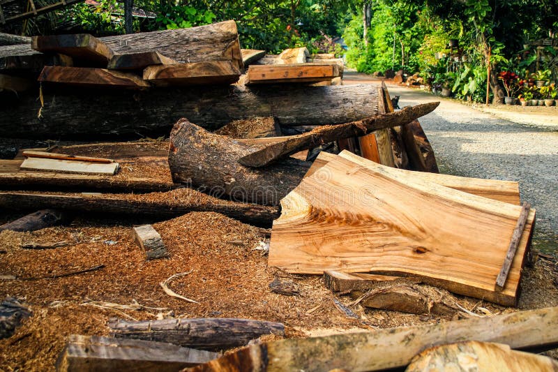 A Woodworking Workshop with Freshly Cut Teak Logs and Timber Slabs ...