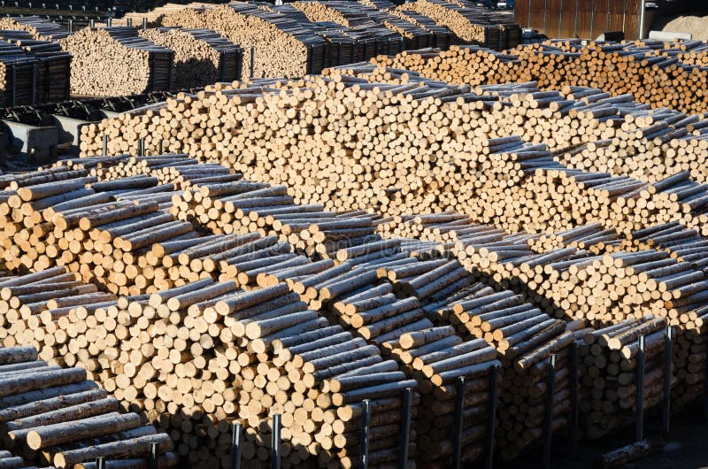 Woodyard stock image. Image of biomass, energy, forest - 83714643