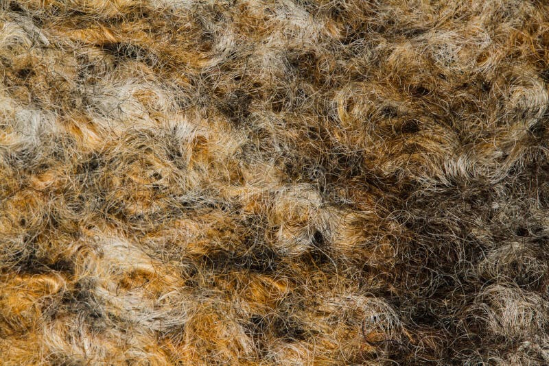 A Wool Cloth Texture in a Close Up View Stock Photo - Image of cashmere ...