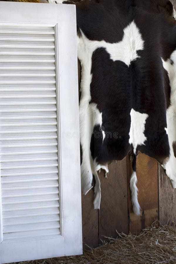 Wool Cow on the Wall stock image. Image of animal, tapis - 32364333