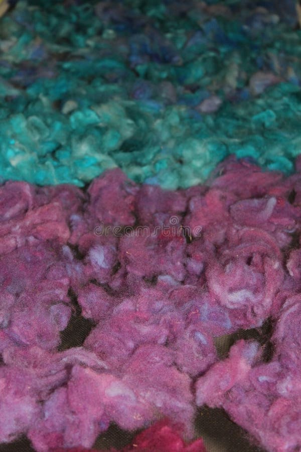 Wool drying stock photo. Image of luster, farm, batt - 87480934