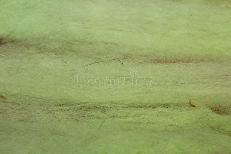 Wool drying stock image. Image of drying, lamb, arts - 87480951