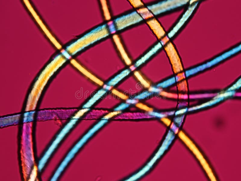 223 Fibre Microscope Stock Photos - Free & Royalty-Free Stock Photos ...