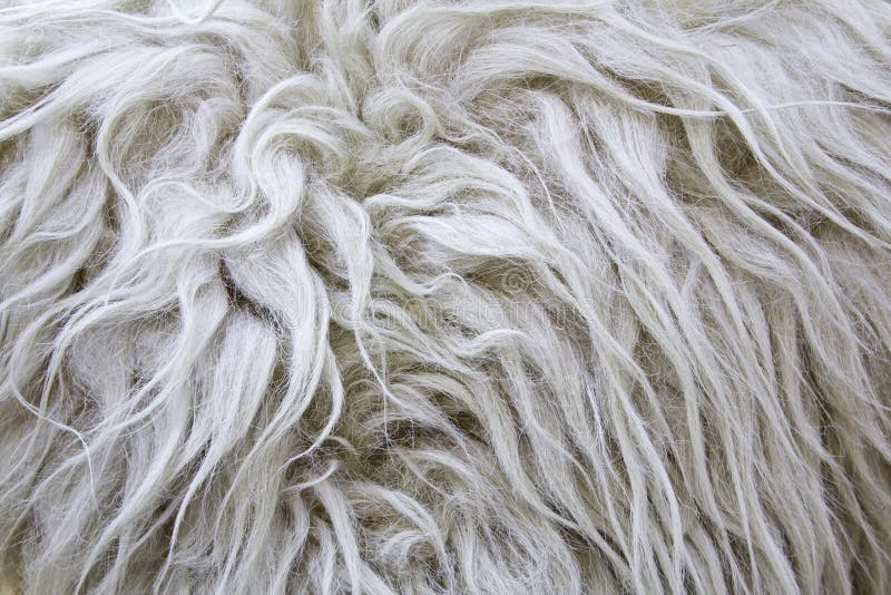 Wool Skin stock photo. Image of textile, detail, skin - 30230252