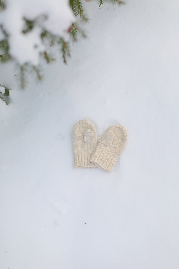 Wool Mitten on the Snow in Winter Forest Stock Photo - Image of mittens ...