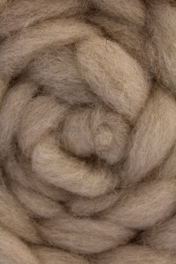 Wool stock photo. Image of knitters, carding, sheep, quilters - 87282196