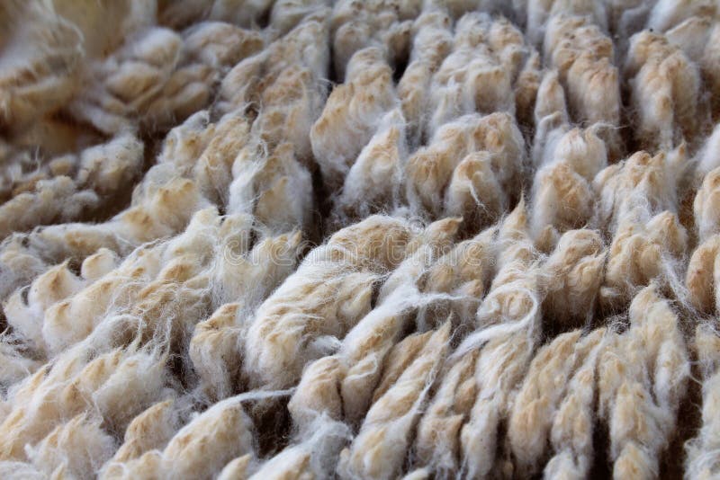 Wool sheared stock photo. Image of crafty, washed, weave - 88280792