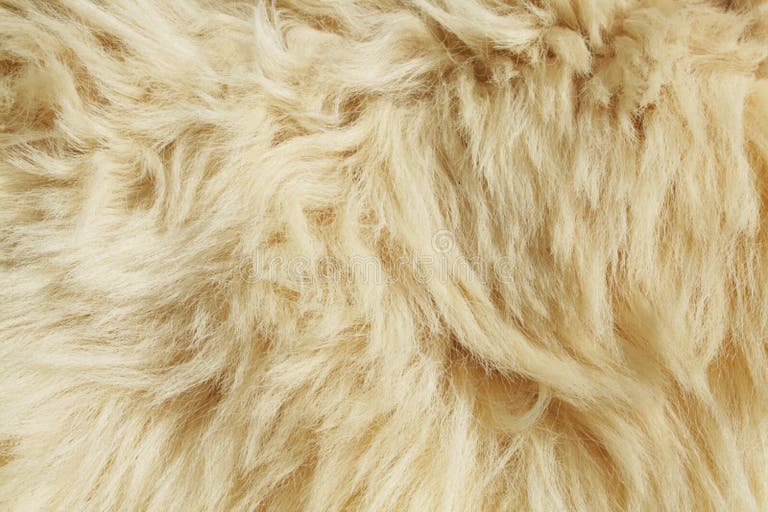 3,316 Woolly Texture Stock Photos - Free & Royalty-Free Stock Photos ...
