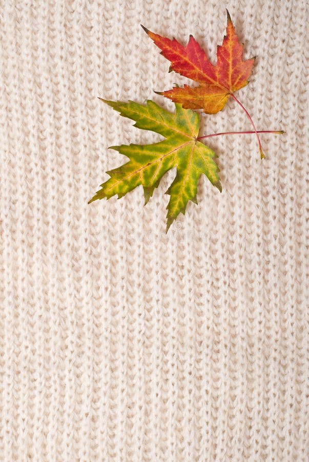 Wool Texture with Autumn Leaves Stock Photo - Image of september, green ...