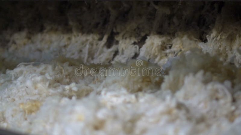 Wool Washing and Preparation for the Production of Tops 8 Stock Footage ...