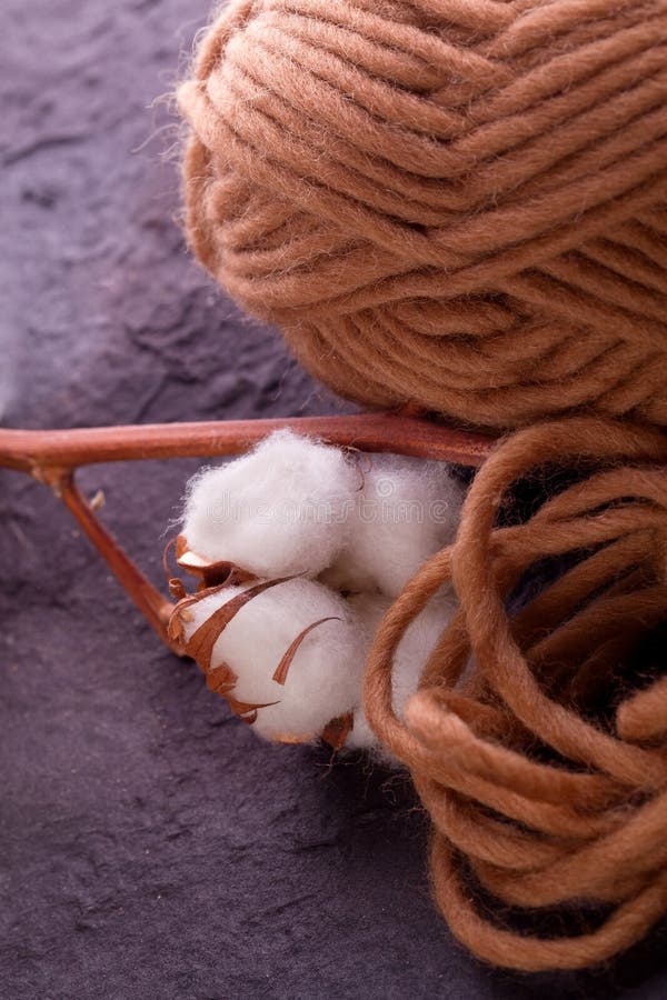 Wool with White Cotton Plant Stock Image - Image of botany, nature ...