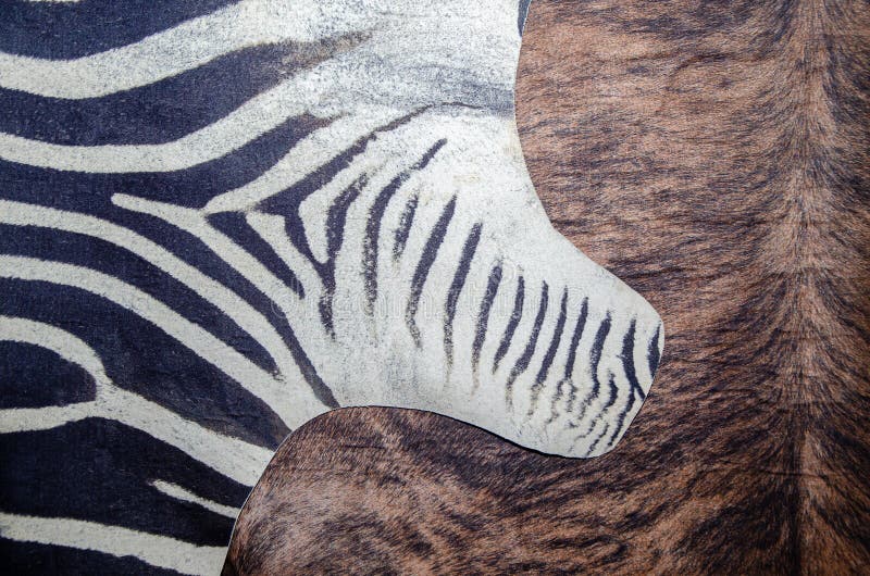 Wool of Wild Animals. Background, Texture. Carpets Made of Artificial ...