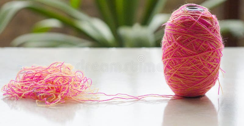 Woolen Threads of Different Colors Stand in Rows Stock Image - Image of ...