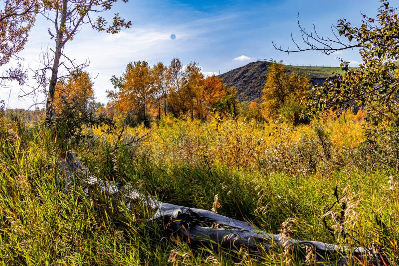 Woolford Provincial Park Cardston County Alberta Canada Stock Photo ...
