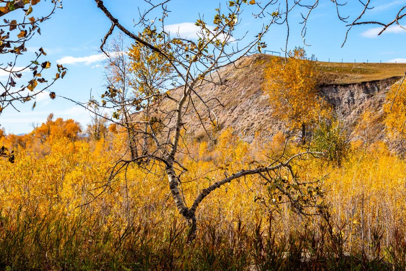 Woolford Provincial Park Cardston County Alberta Canada Stock Photo ...