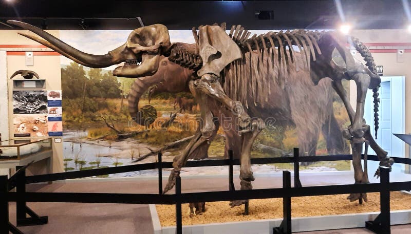 Woolly Mammoth From Ice Age Editorial Photography Image Of Mythology Wood 254063742