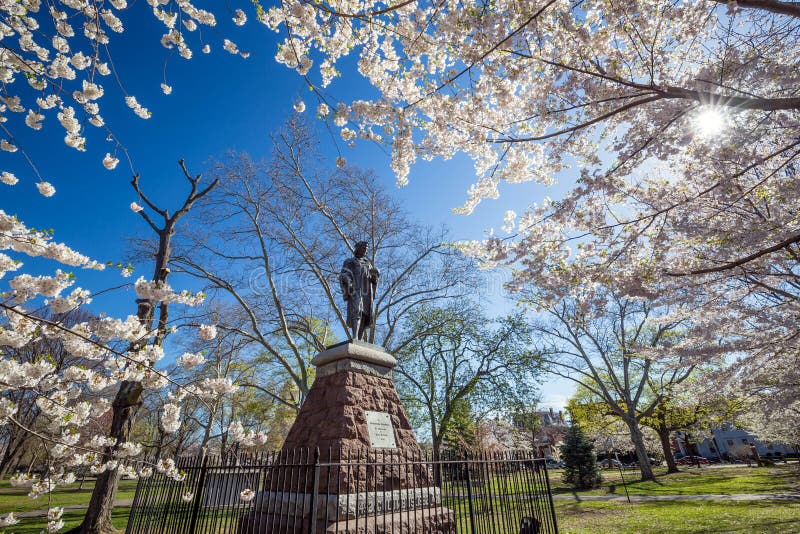 Wooster Square in New Haven Stock Photo - Image of cherry, building ...
