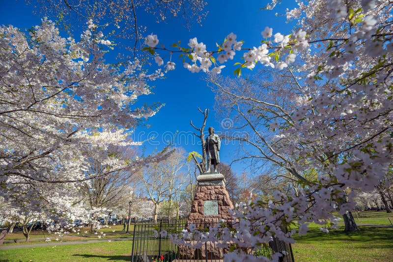 Wooster Square in New Haven Stock Photo - Image of cherry, building ...