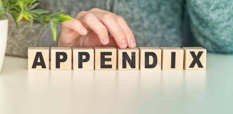 Word APPENDIX Made with Wood Building Blocks Stock Photo - Image of ...