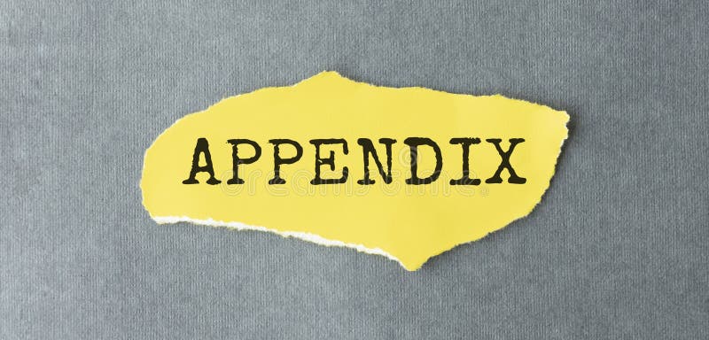 Word Appendix Written on a Piece of Paper Stock Photo - Image of slide ...