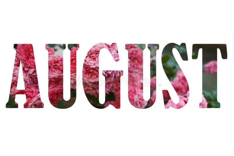 Word August Made of Leaves and Pink Flowers on White Background, Text ...