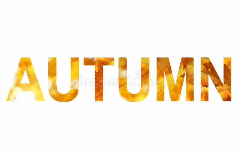 Word AUTUMN with a Bright Leaves of Maple Tree Pattern Stock ...