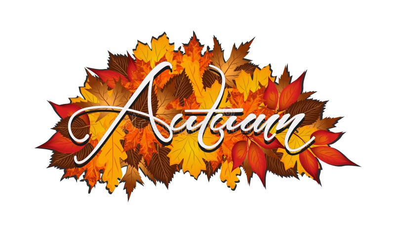 Word Autumn Covered in Autumnal Leaves. Stock Vector - Illustration of ...