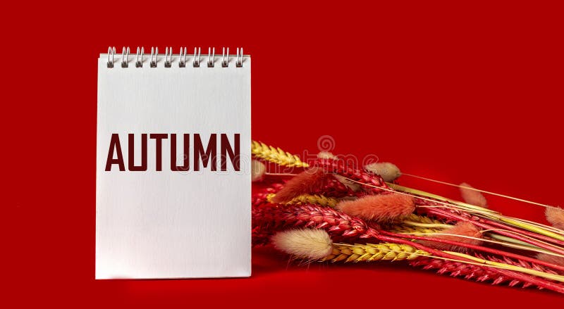 Word Autumn on Notepad and Red Background with Ears of Wheat, Creative ...